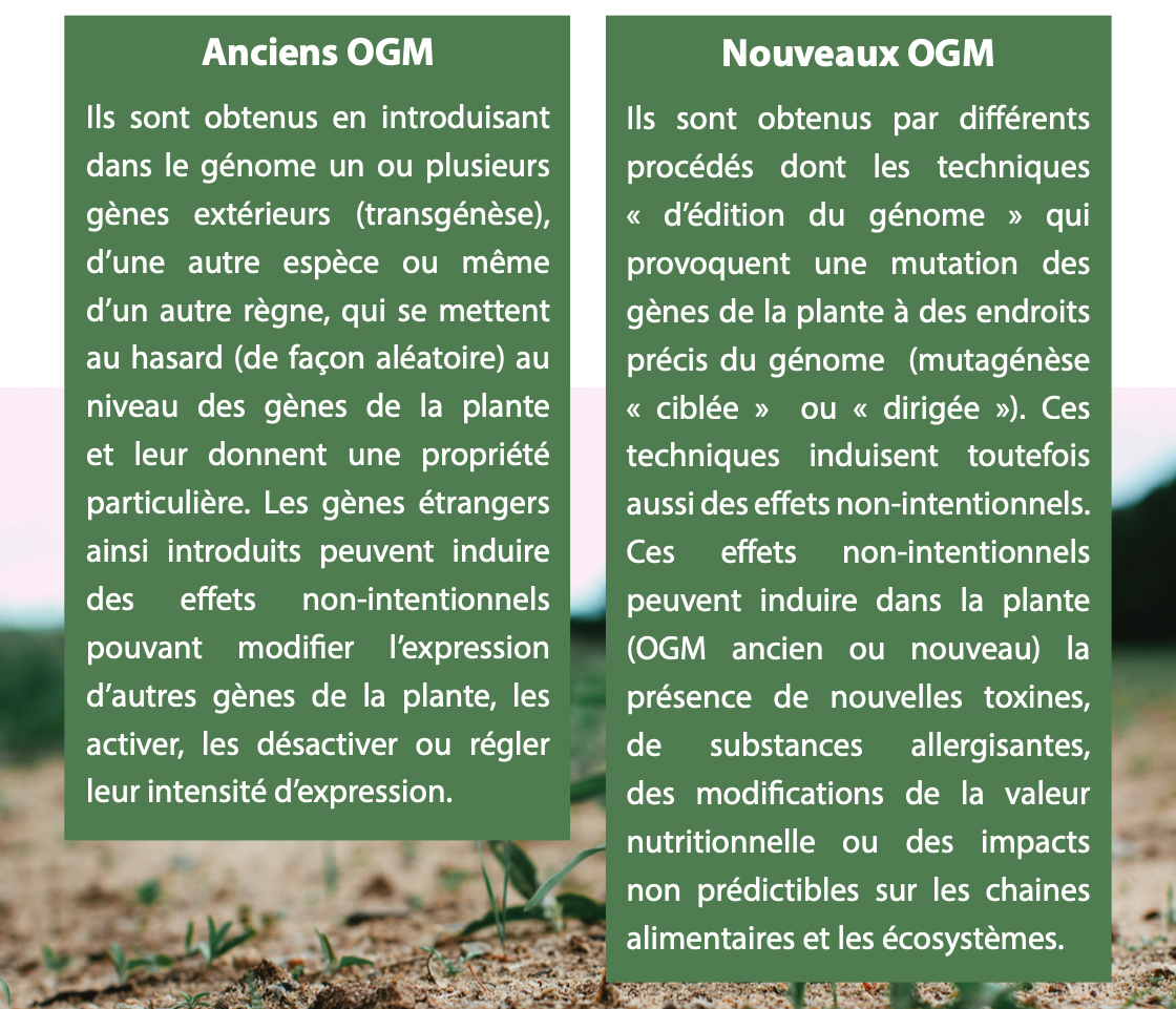 Valériane 2022 – Non à la dérèglementation des nouveaux OGM – Butine.info
